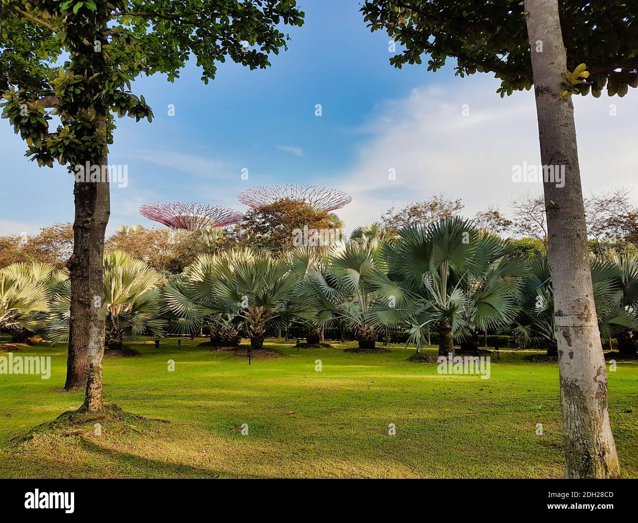 Lush greenery landscape in the Gardens by the Bay park in Singapore ...