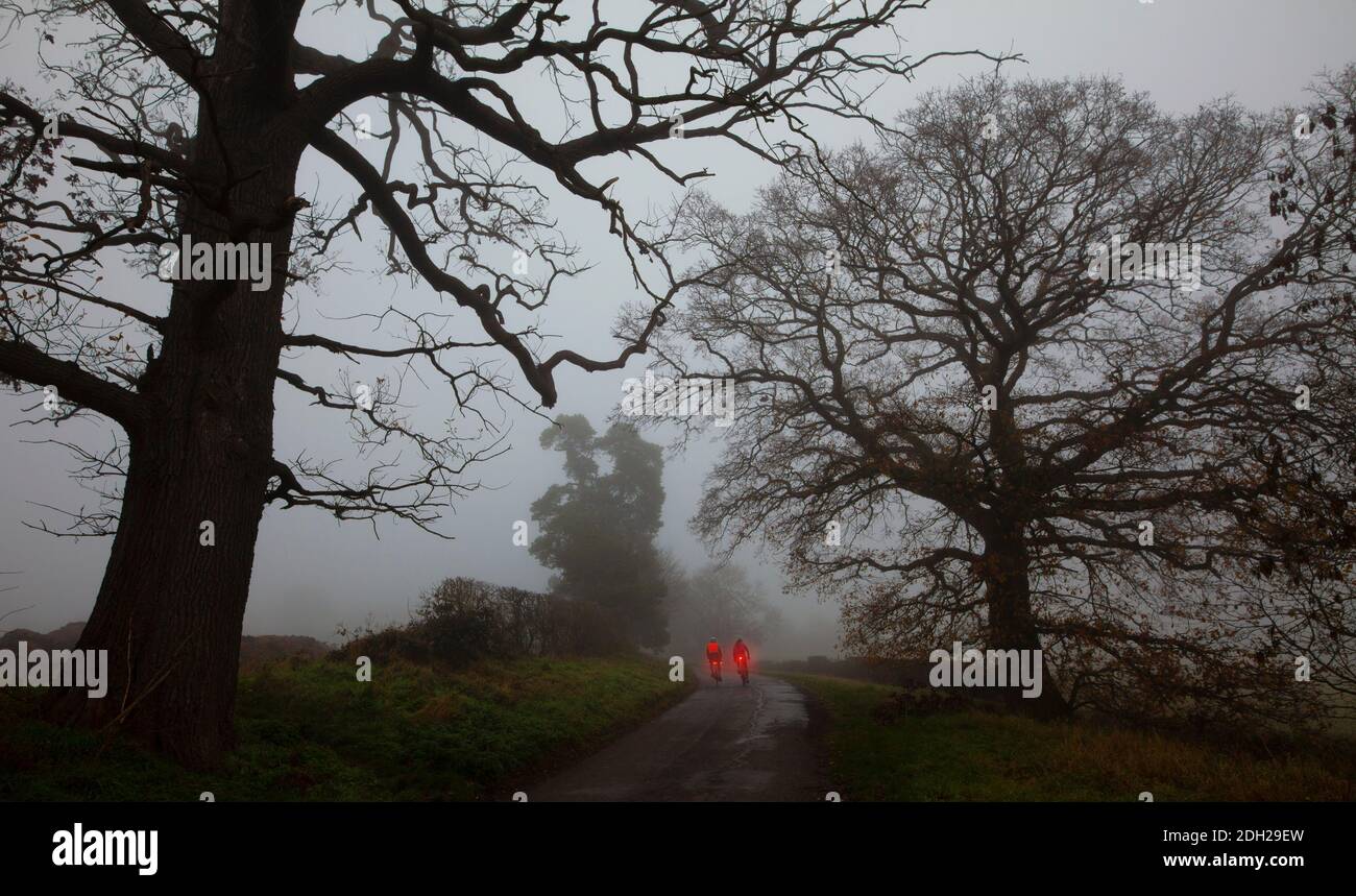 Winter foggy scene in cold sun Stock Photo - Alamy