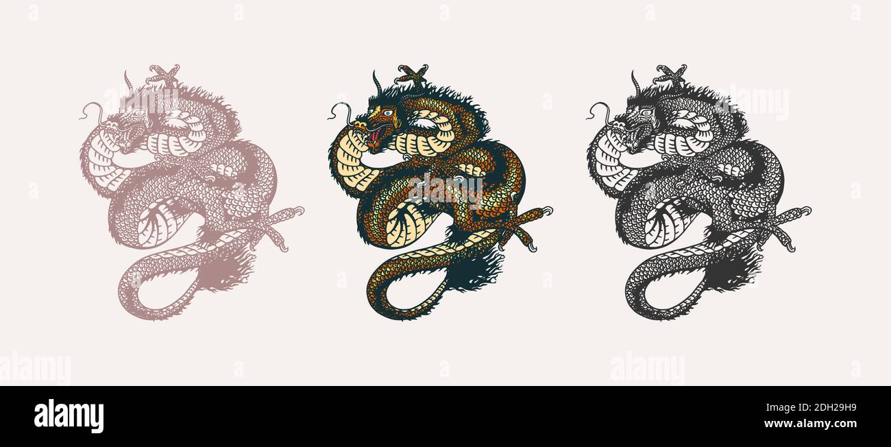 Japanese dragon. Mythological animal or Asian traditional reptile ...