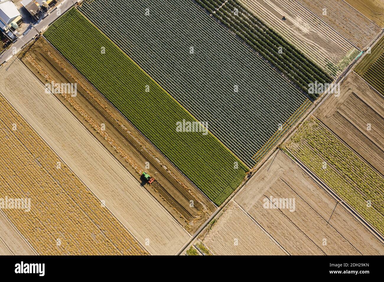 Farm for vegetables hi-res stock photography and images - Alamy