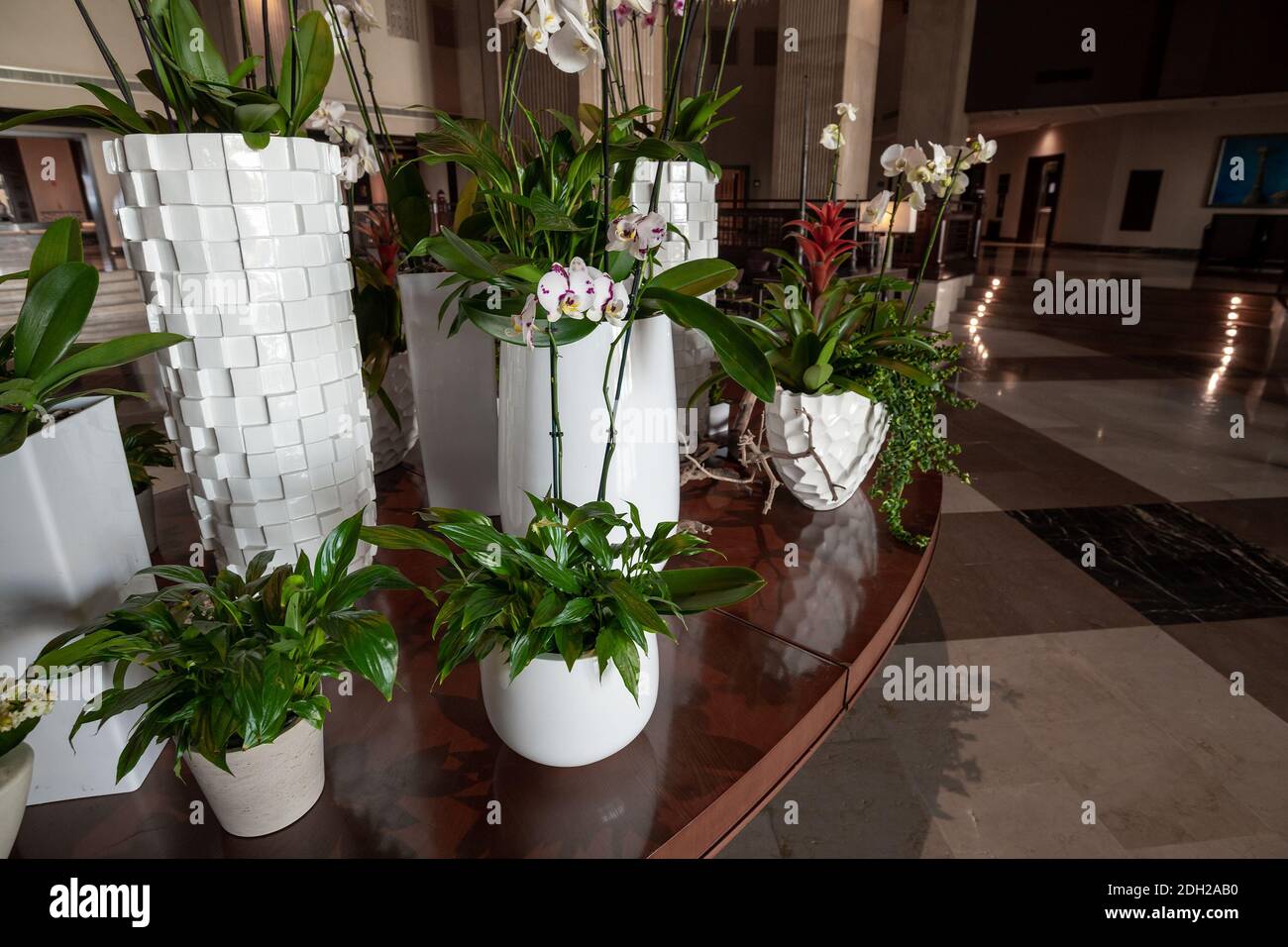 Many pot flowers in interior of the hall Stock Photo - Alamy