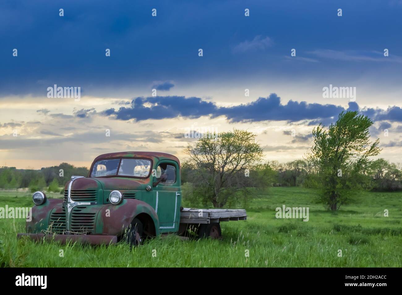 Car in a field hi-res stock photography and images - Alamy