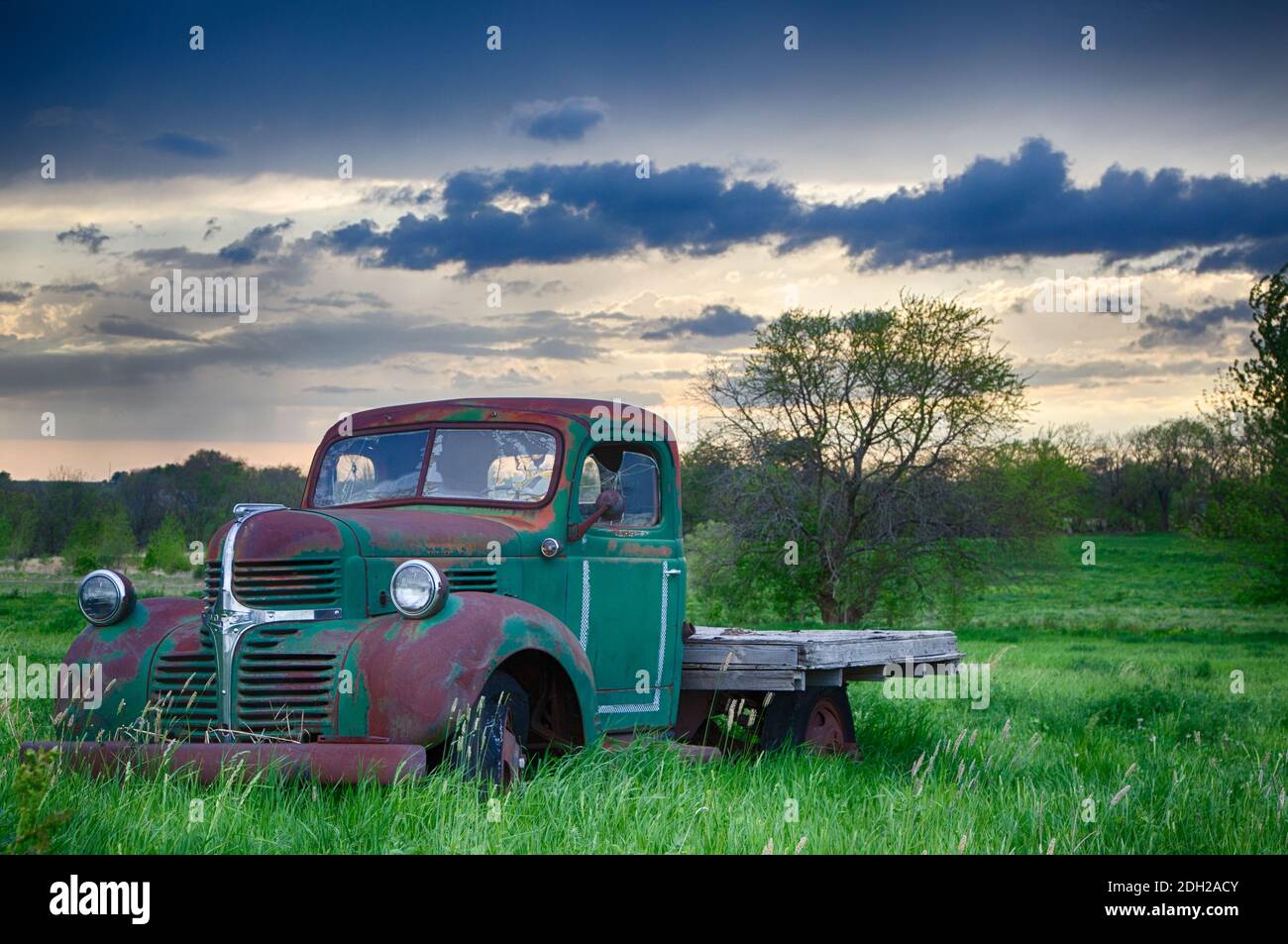 Car in a field hi-res stock photography and images - Alamy