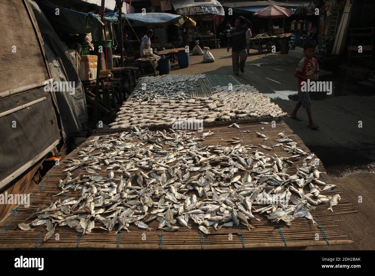 Dried fish on sale at the Pasar Ikan (fish market) in the village of ...