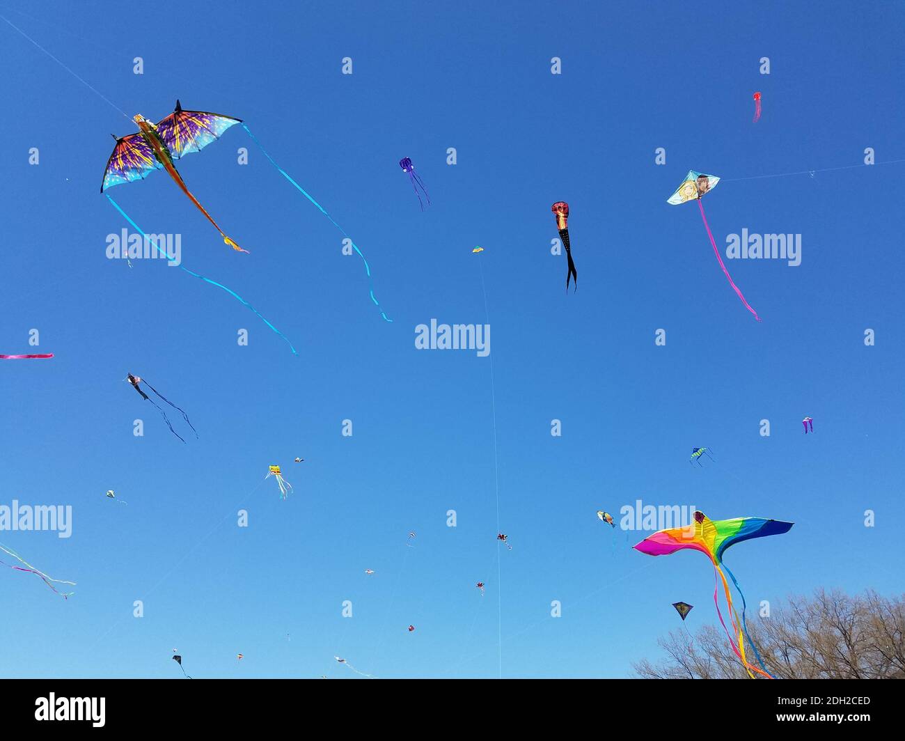 Cherry blossom festival kites dc hi-res stock photography and images ...