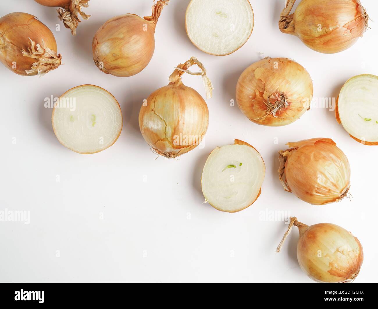 Onion seamless pattern isolated on white Stock Photo - Alamy