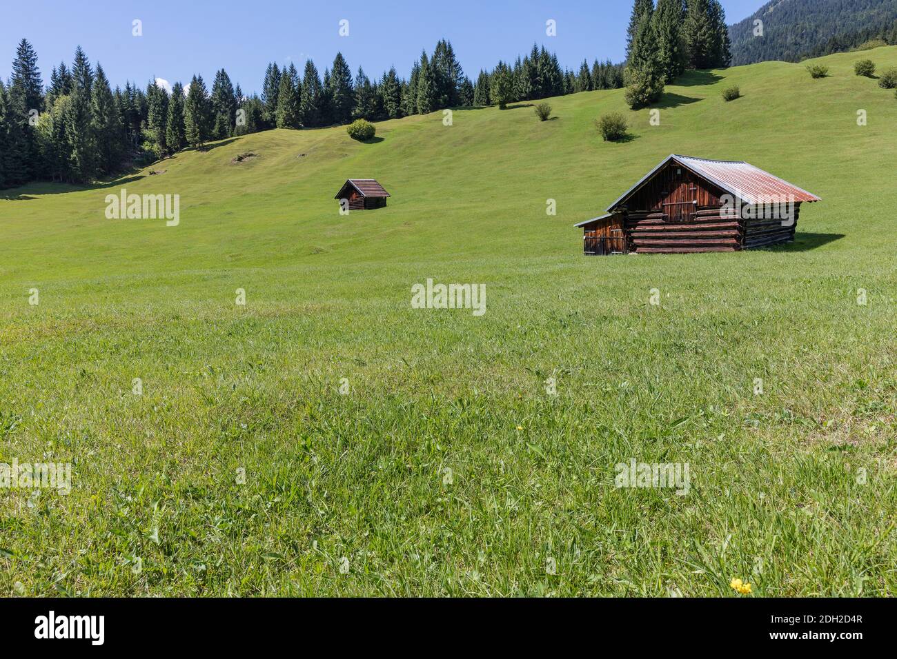 Mowed Alm landscape, field with hay shacks near Garmisch-Partenkirchen ...
