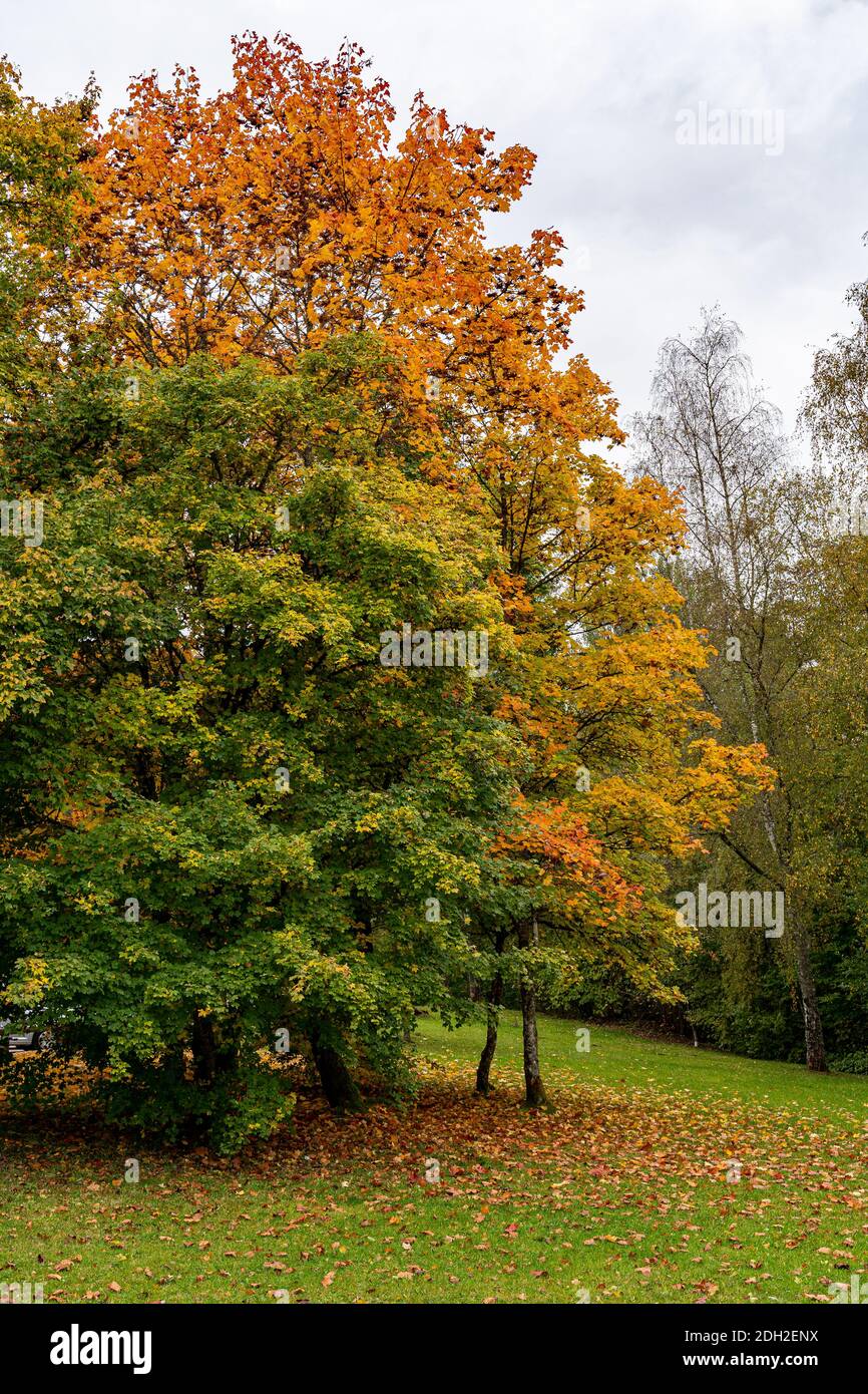 The Nagold Dam at the Nagold Valley, Black Forest, Germany Stock Photo ...