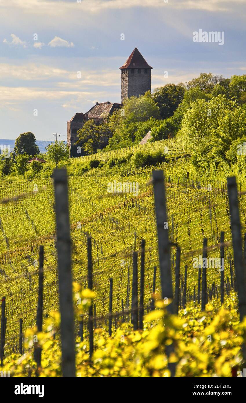 Lichtenberg castle hi-res stock photography and images - Alamy
