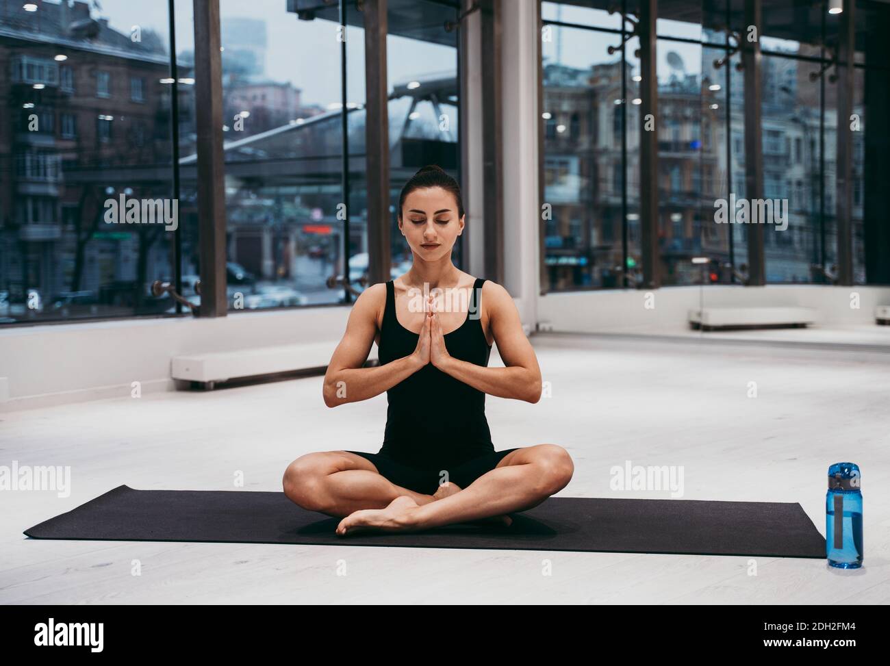 Beautiful Female Model Graceful Pose High Resolution Stock Photography ...