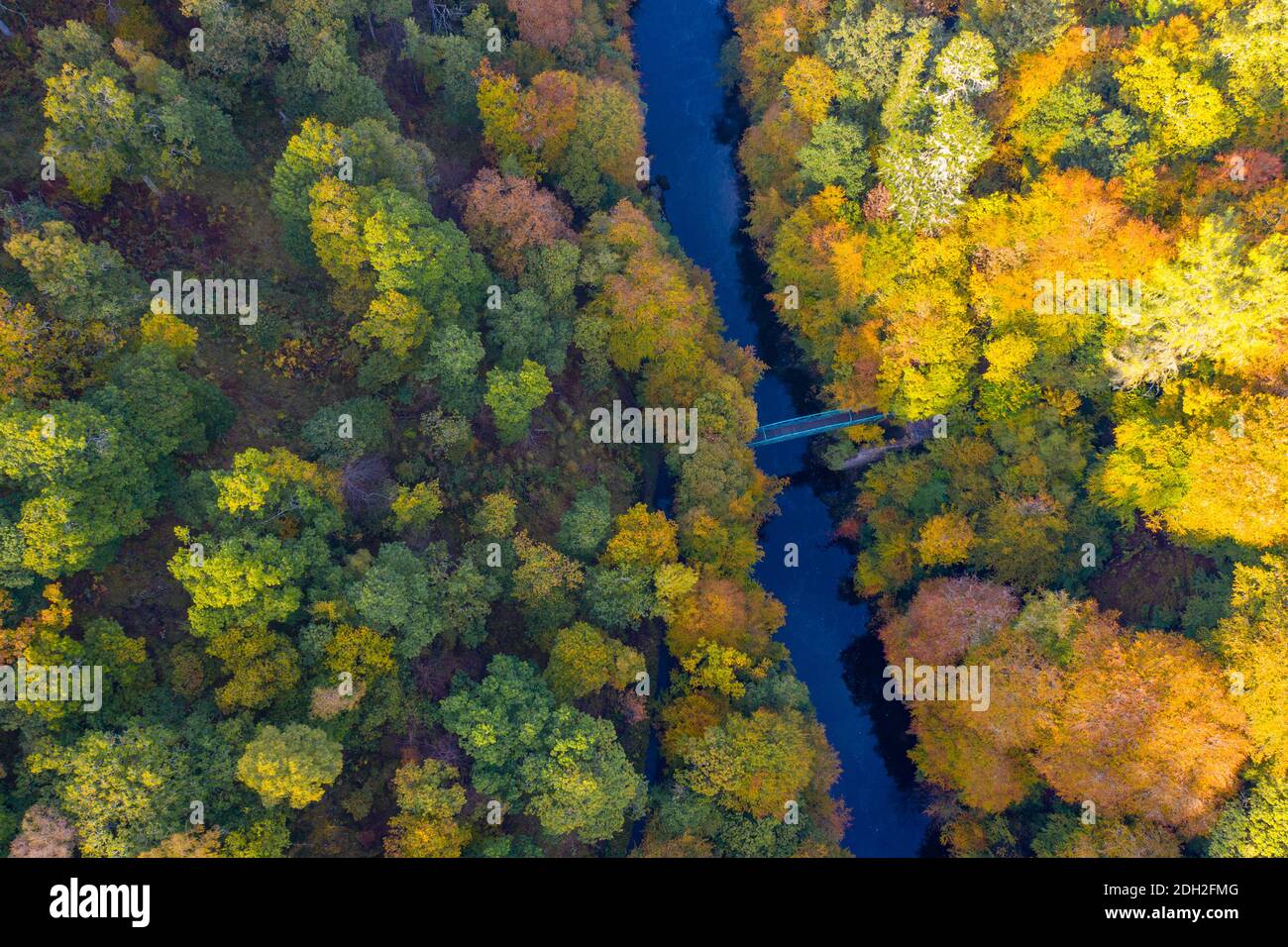 Drone autumn uk trees hi-res stock photography and images - Alamy