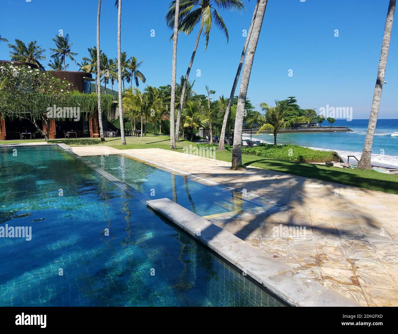 Infinity pool and palm trees, by the Indian Ocean in a Bali, Indonesia ...