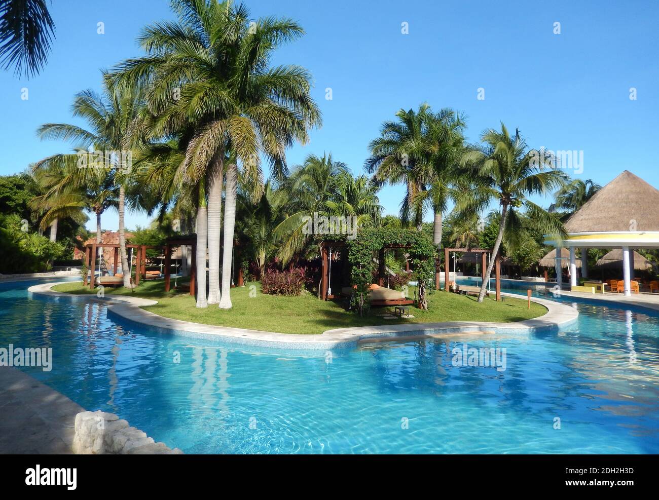 Tropical landscape greenery with palm trees and pool amenities in a ...