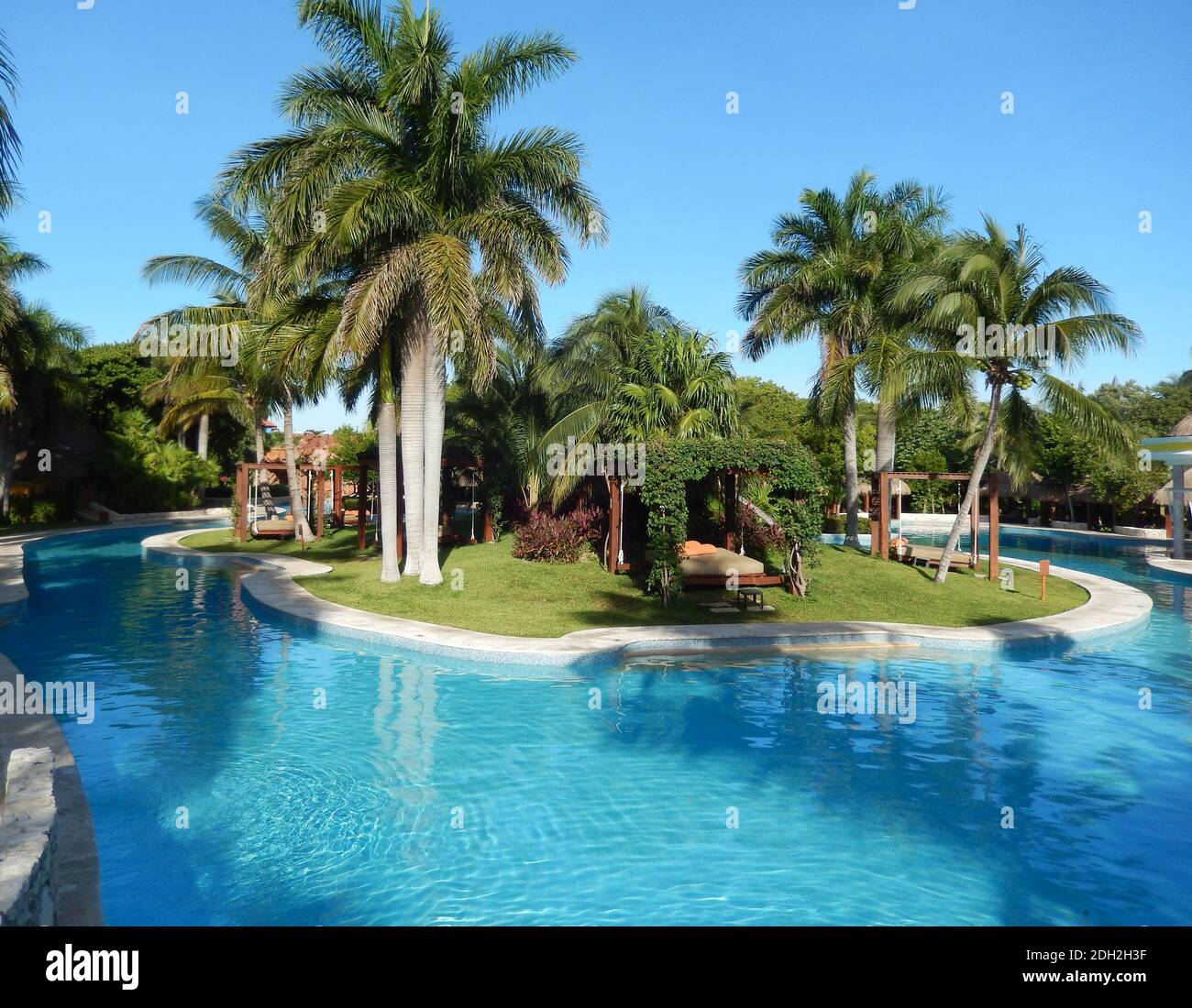 Tropical landscape greenery with palm trees and pool amenities in a ...