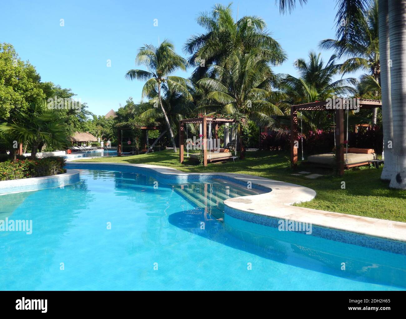 Tropical landscape greenery with palm trees and pool amenities in a ...