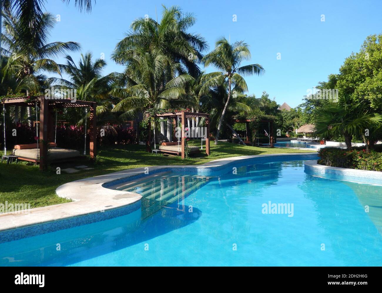 Tropical landscape greenery with palm trees and pool amenities in a ...