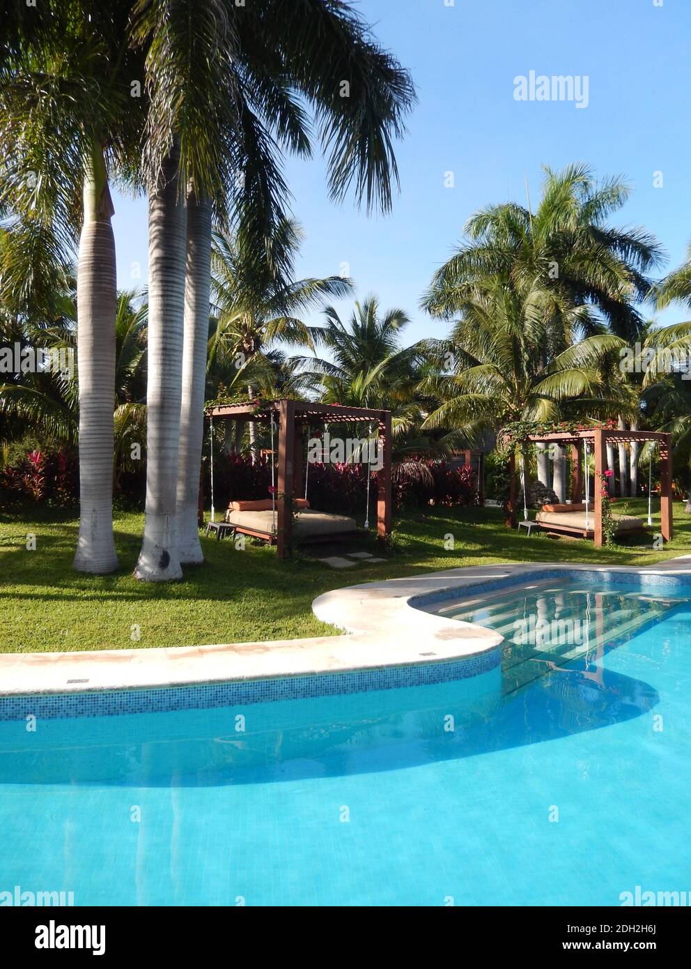 Tropical landscape greenery with palm trees and pool amenities in a ...