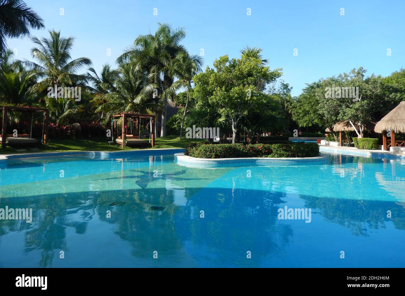Tropical landscape greenery with palm trees and pool amenities in a ...