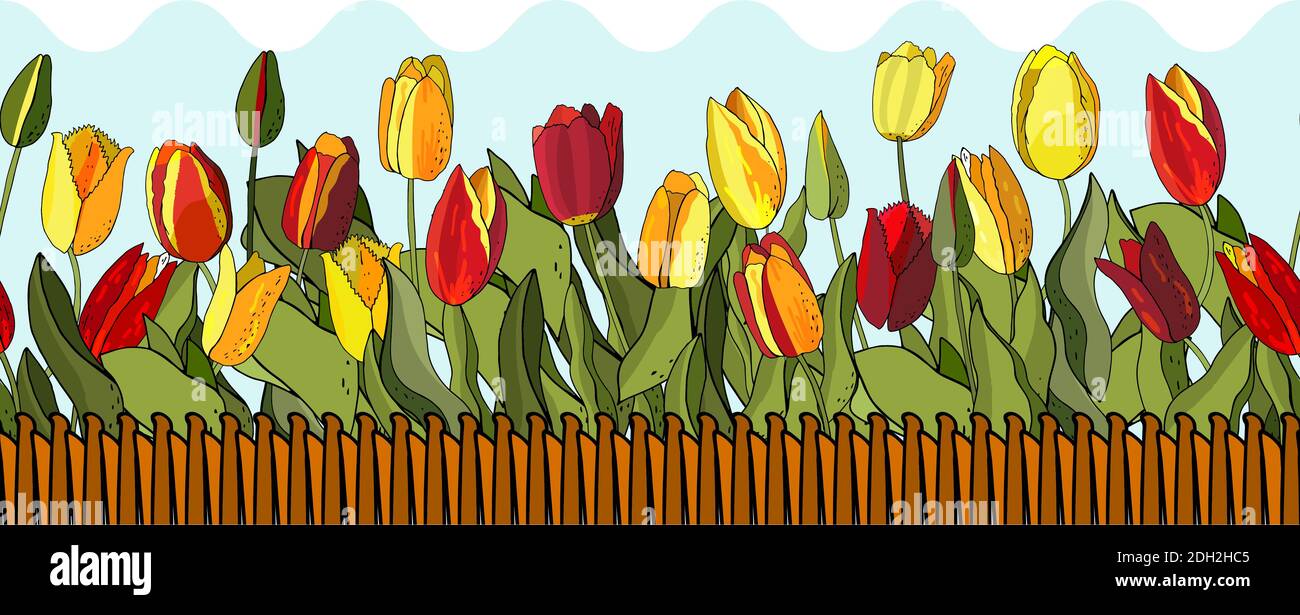 Tulips Flower Border Design