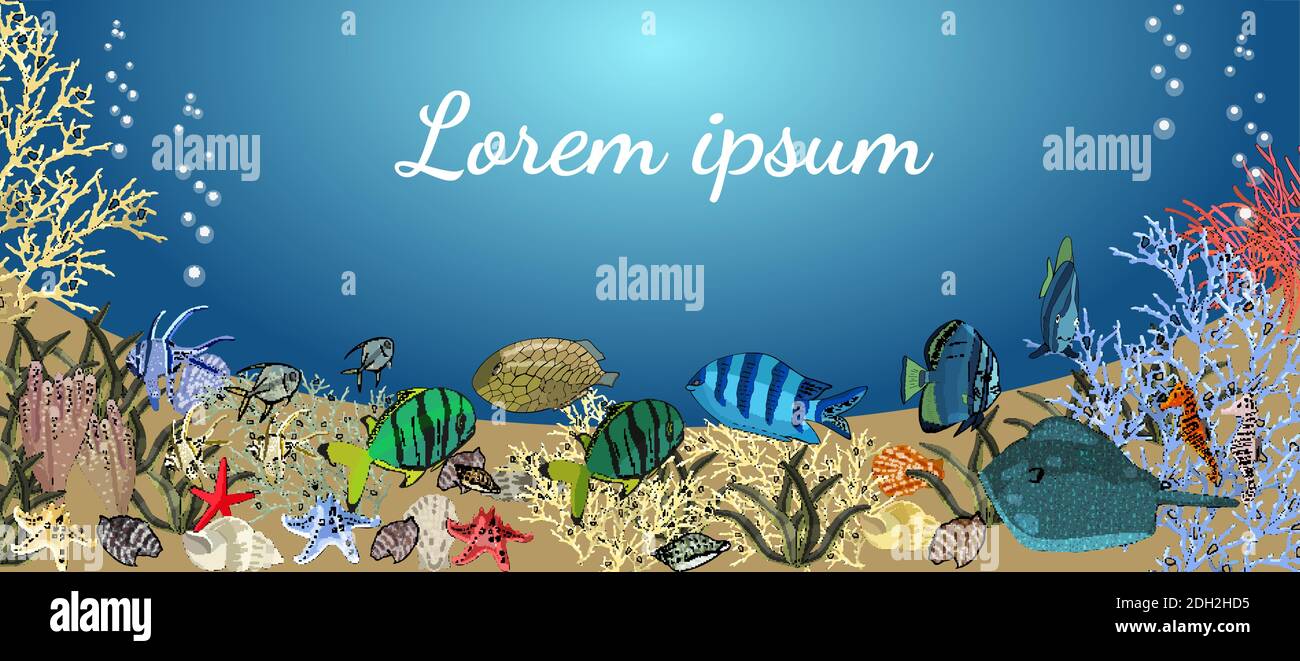 Vector banner. Sea animals - shark, tropical fish, corals, seahorses ...