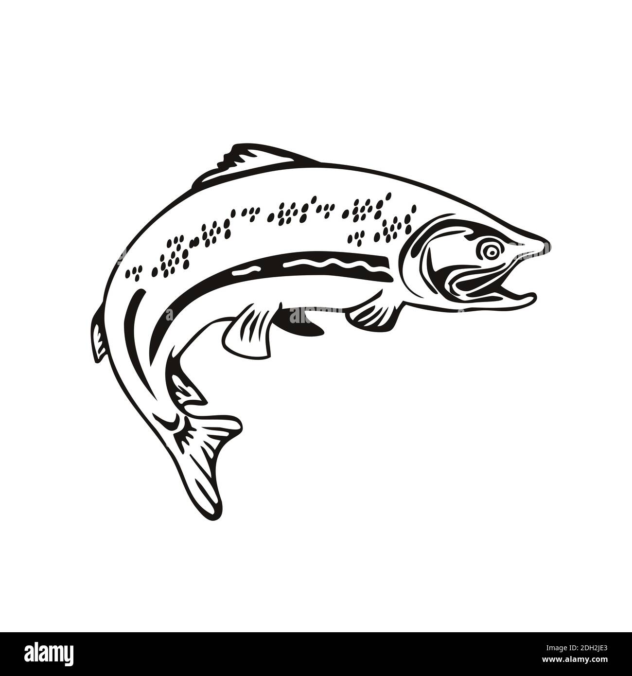 Spotted Trout Fish Jumping Retro Black and White Stock Photo - Alamy