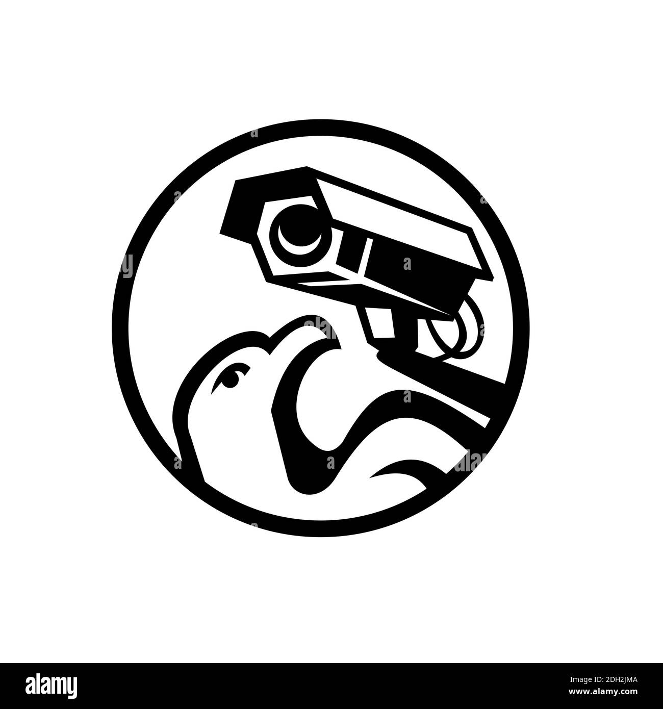 Eagle and Security surveillance Camera Circle Black and White Stock ...