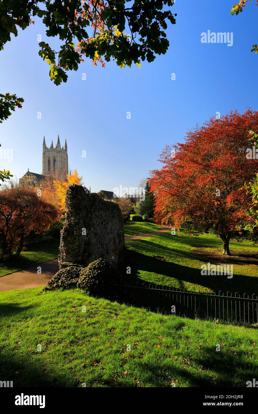 Autumn colours in the Abbey gardens, Bury St Edmunds City, Suffolk ...