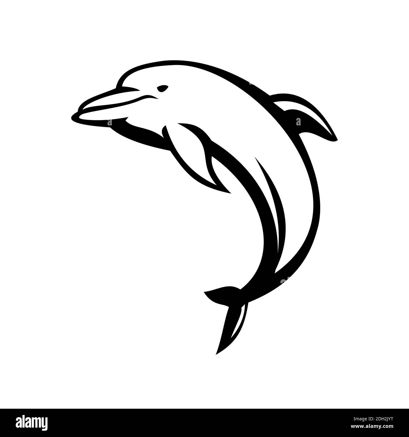 Albino Dolphin Jumping