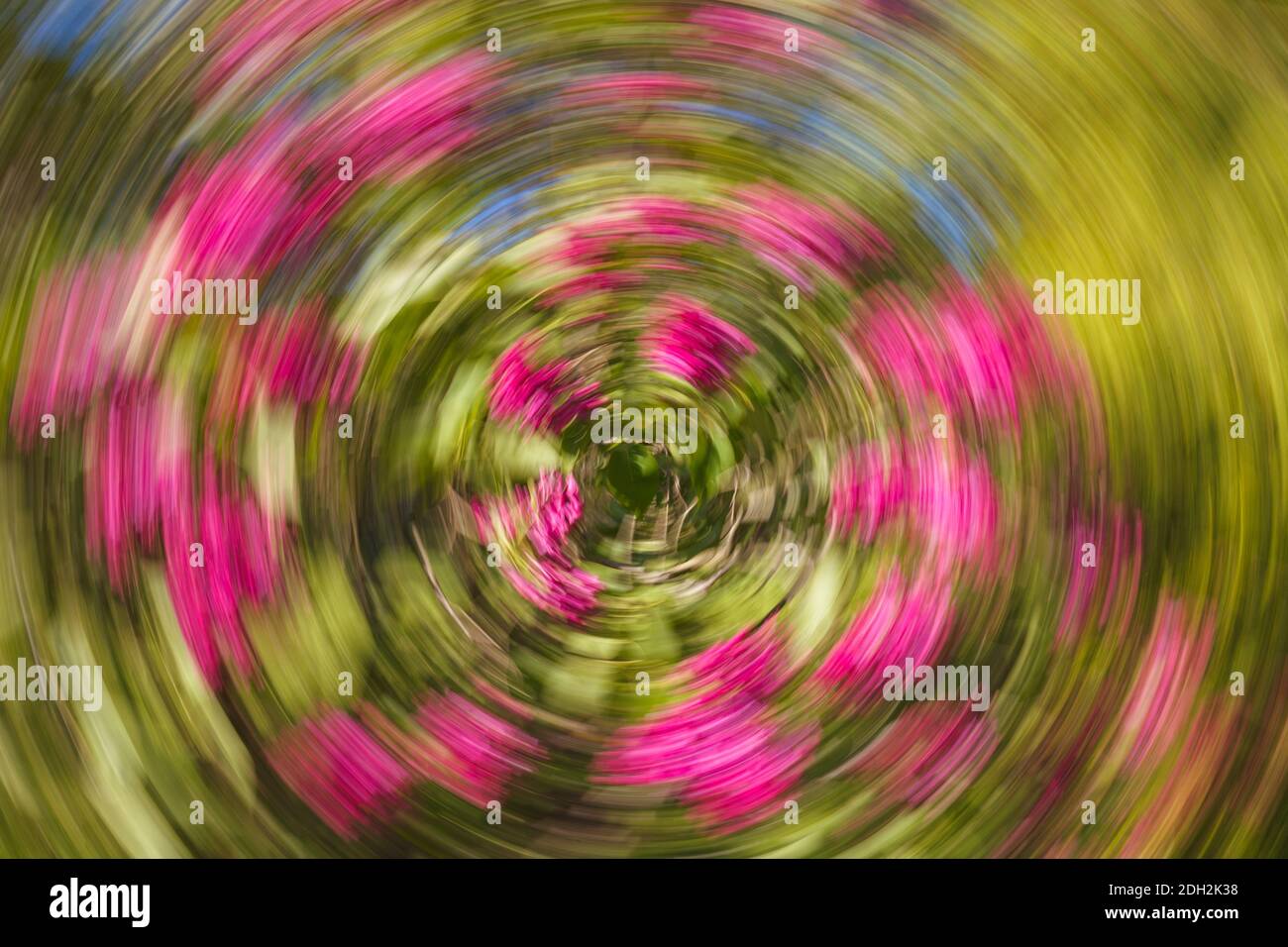 Purple spin texture hi-res stock photography and images - Alamy