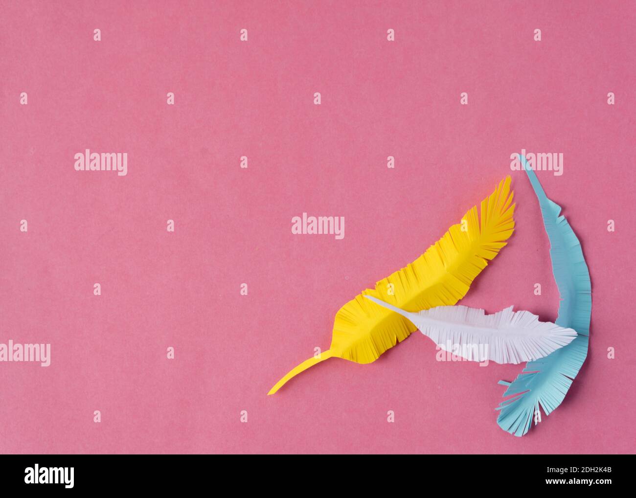 paper feathers in yellow, blue and white on colorful background with ...
