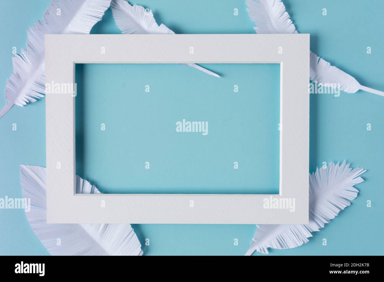 White feather blue background hi-res stock photography and images - Alamy