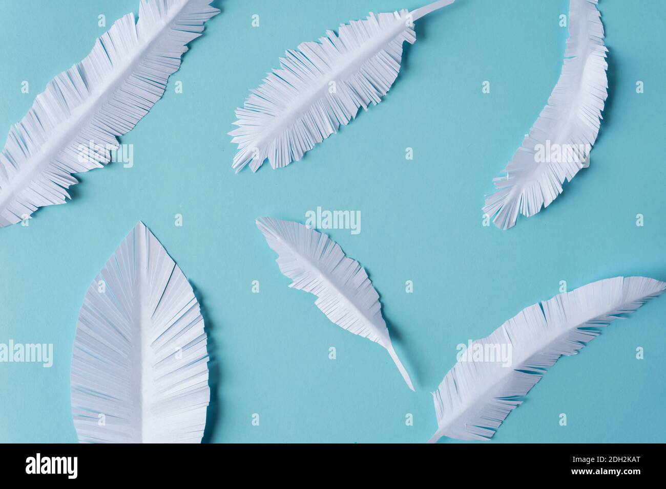 Feathers texture hi-res stock photography and images - Alamy