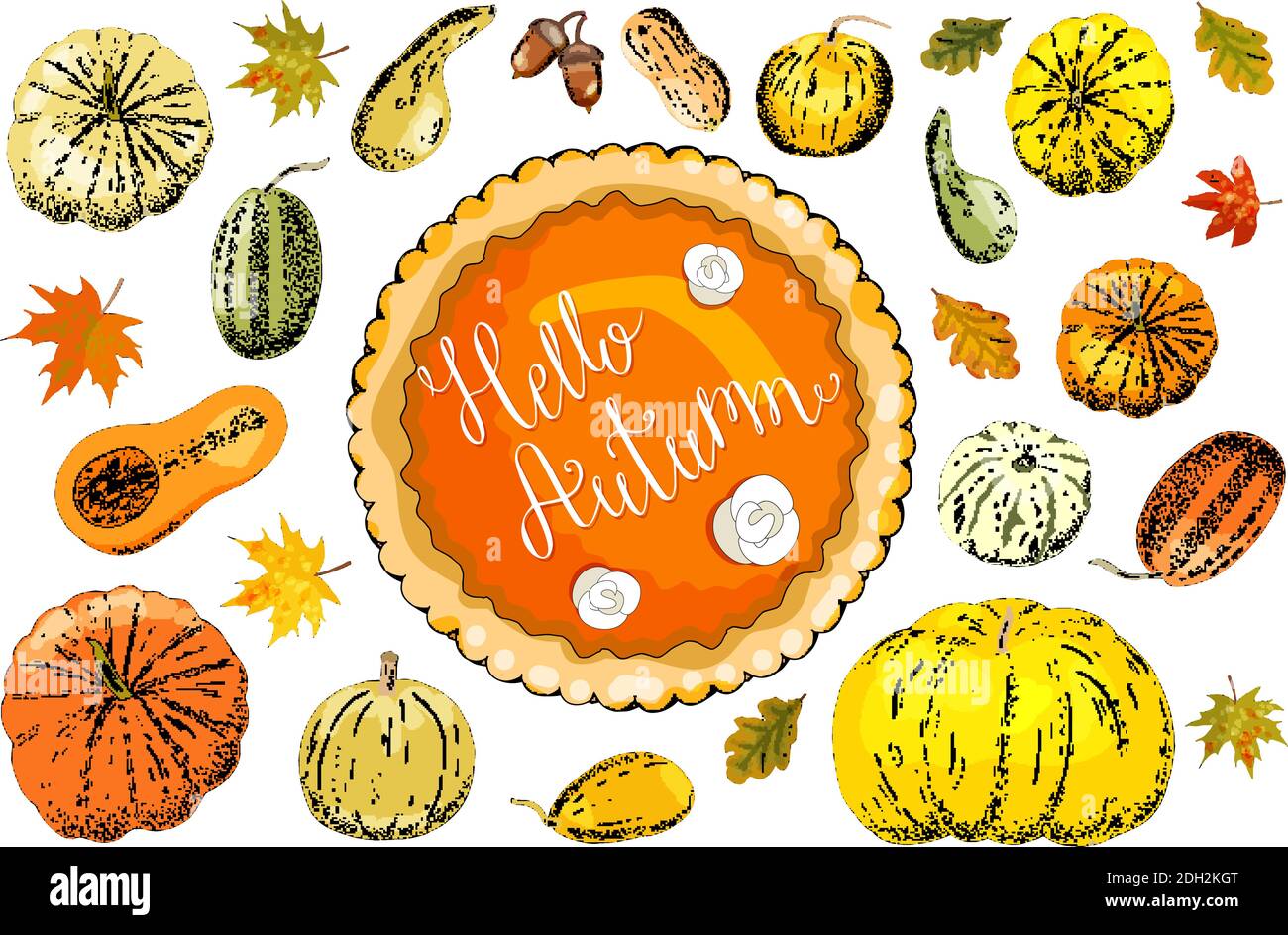 Set of autumn elements isolated on white background. Pumpkins, leaves ...
