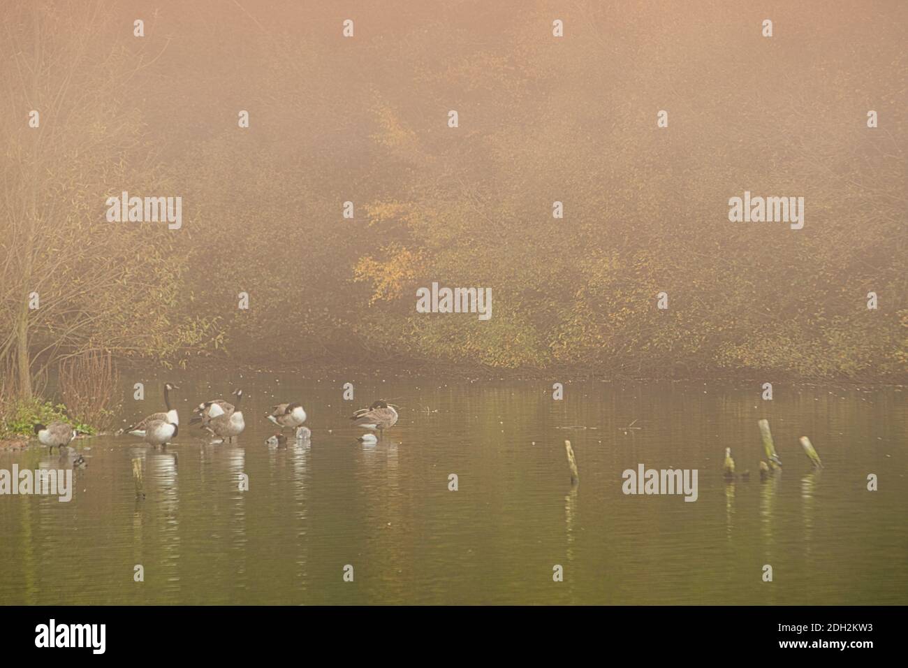 Sandwell valley hi-res stock photography and images - Alamy