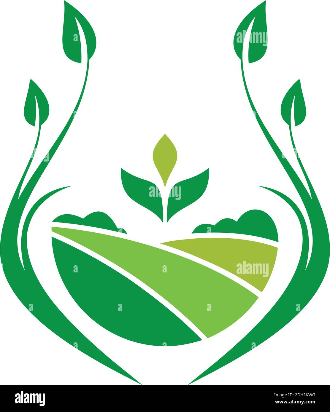 Tropical crop cultivation Stock Vector Images - Alamy