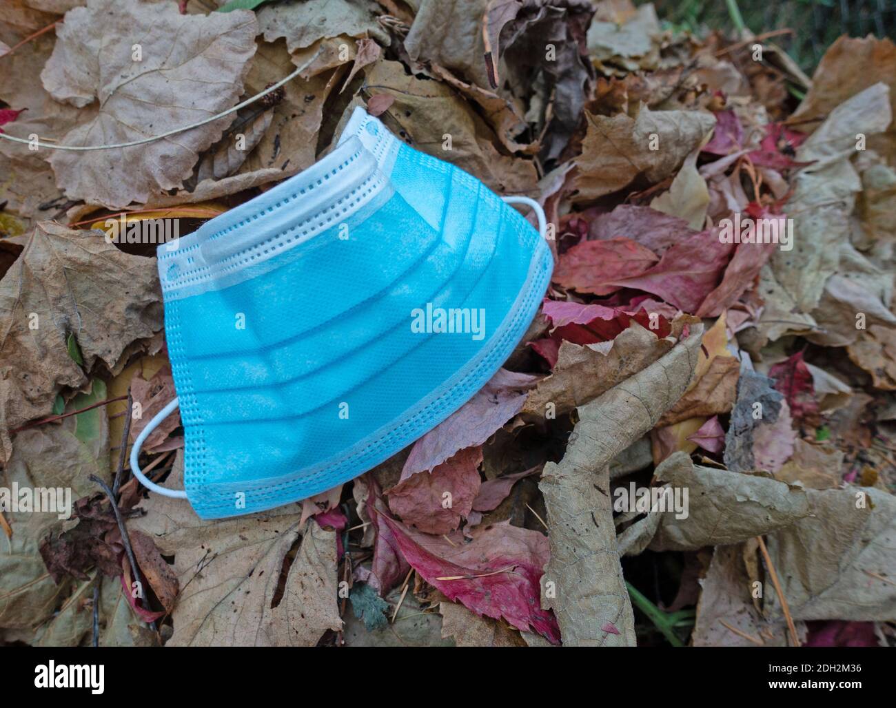 Masks of leaves hi-res stock photography and images - Alamy