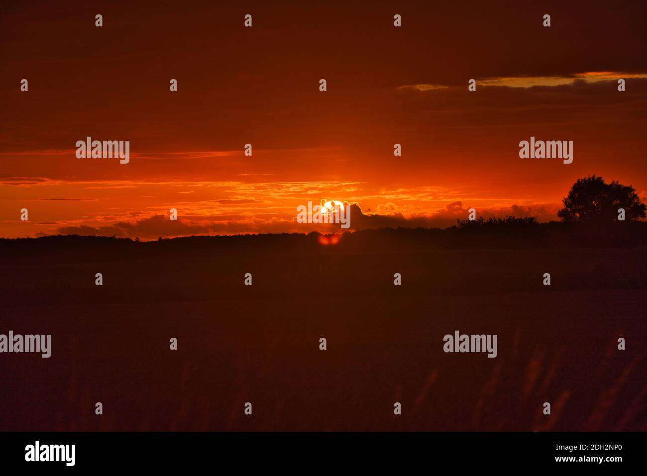 Lit by sun rays hi-res stock photography and images - Alamy