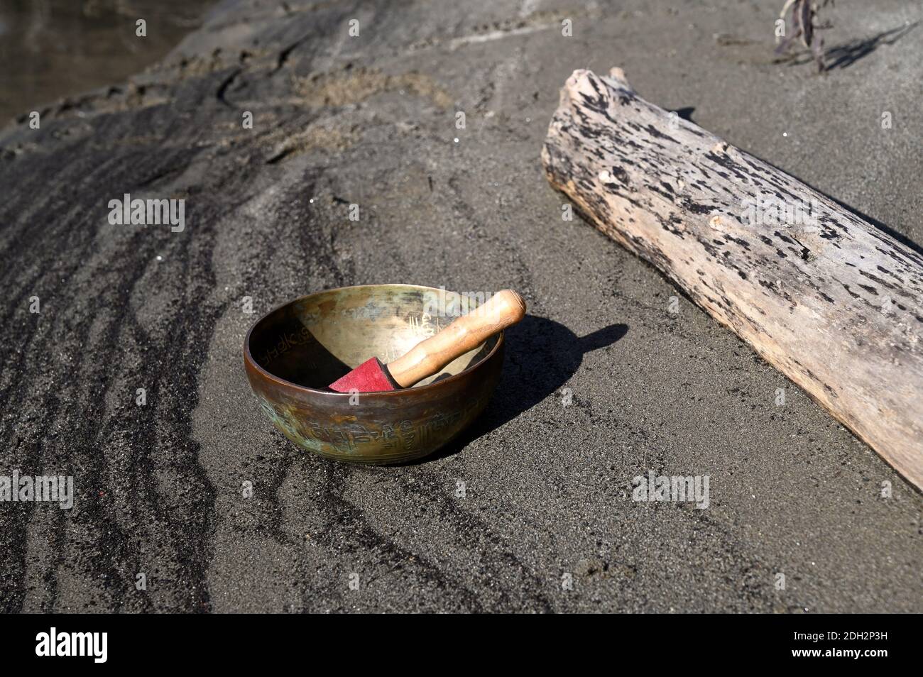 tree trunk and sing bowl Stock Photo - Alamy