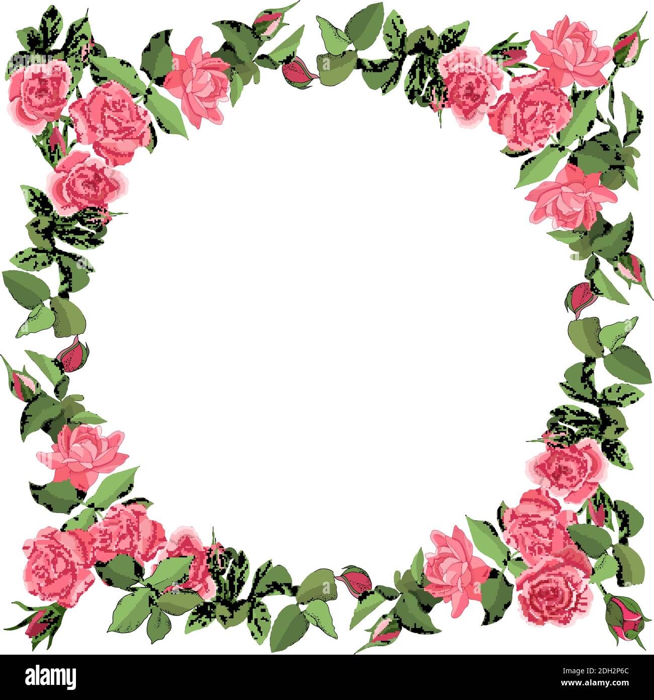 Template with roses and leaves isolated on white background Stock ...