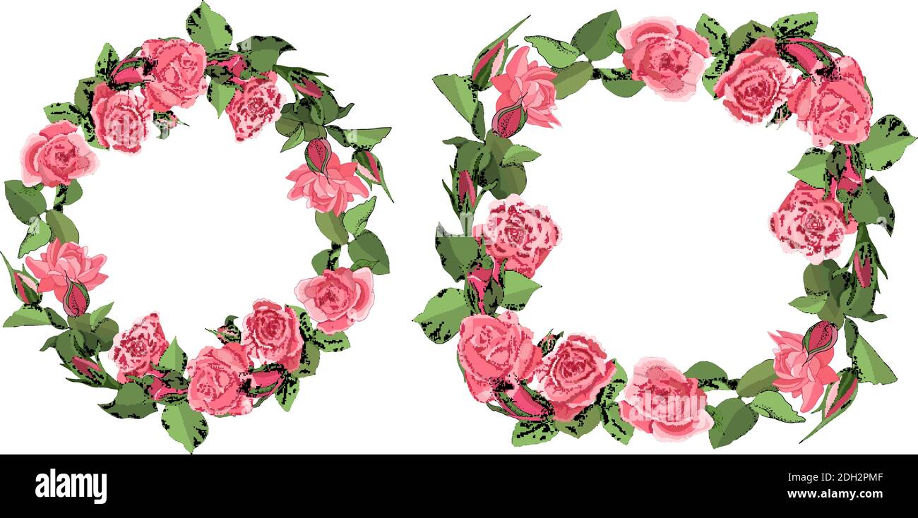 Templates with roses and leaves isolated on white background Stock ...
