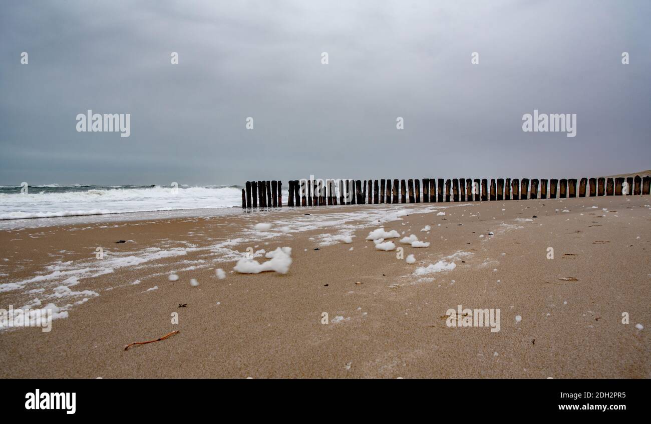 Log breakwater hi-res stock photography and images - Alamy