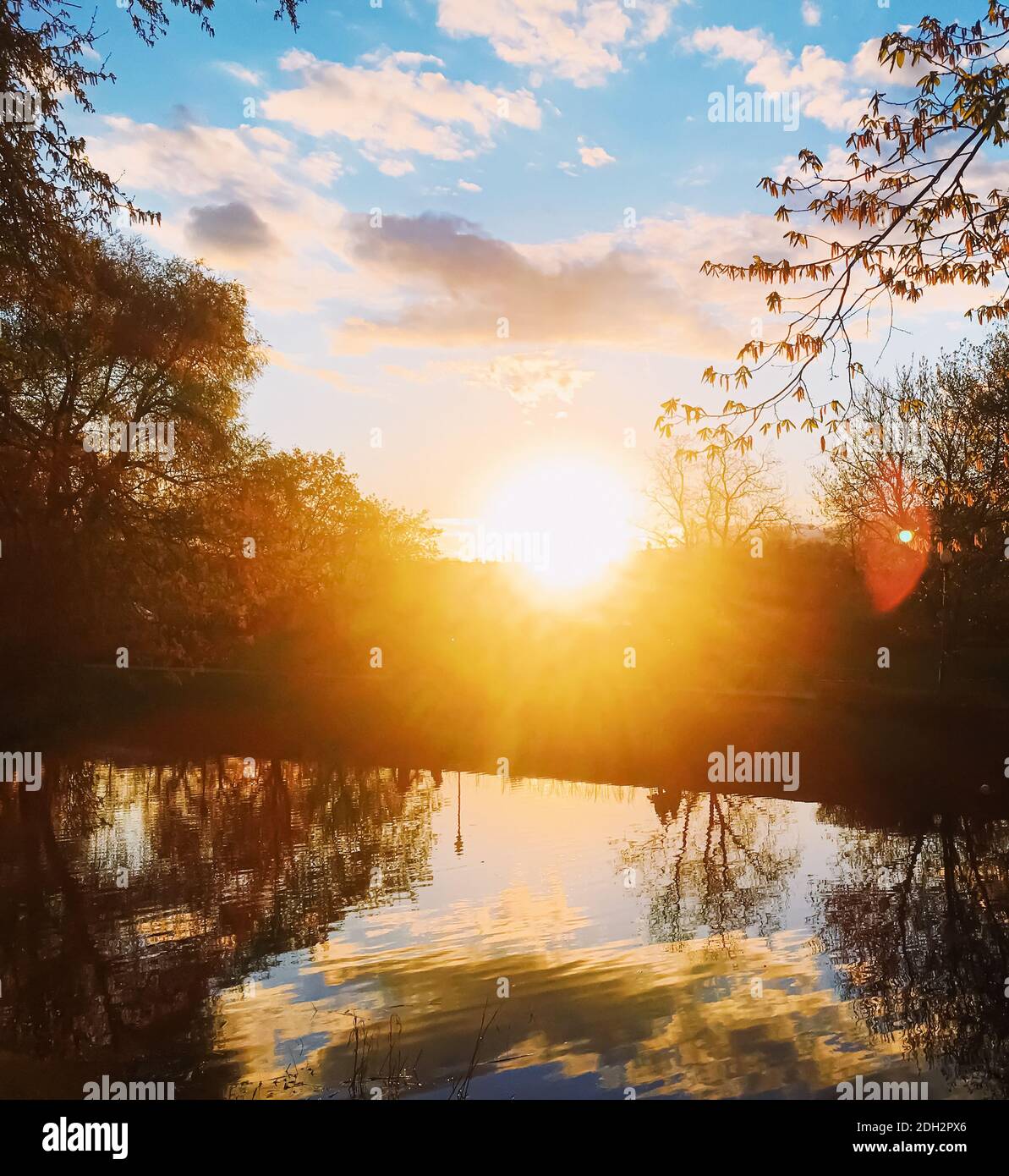 Spring sunset in forest hi-res stock photography and images - Alamy