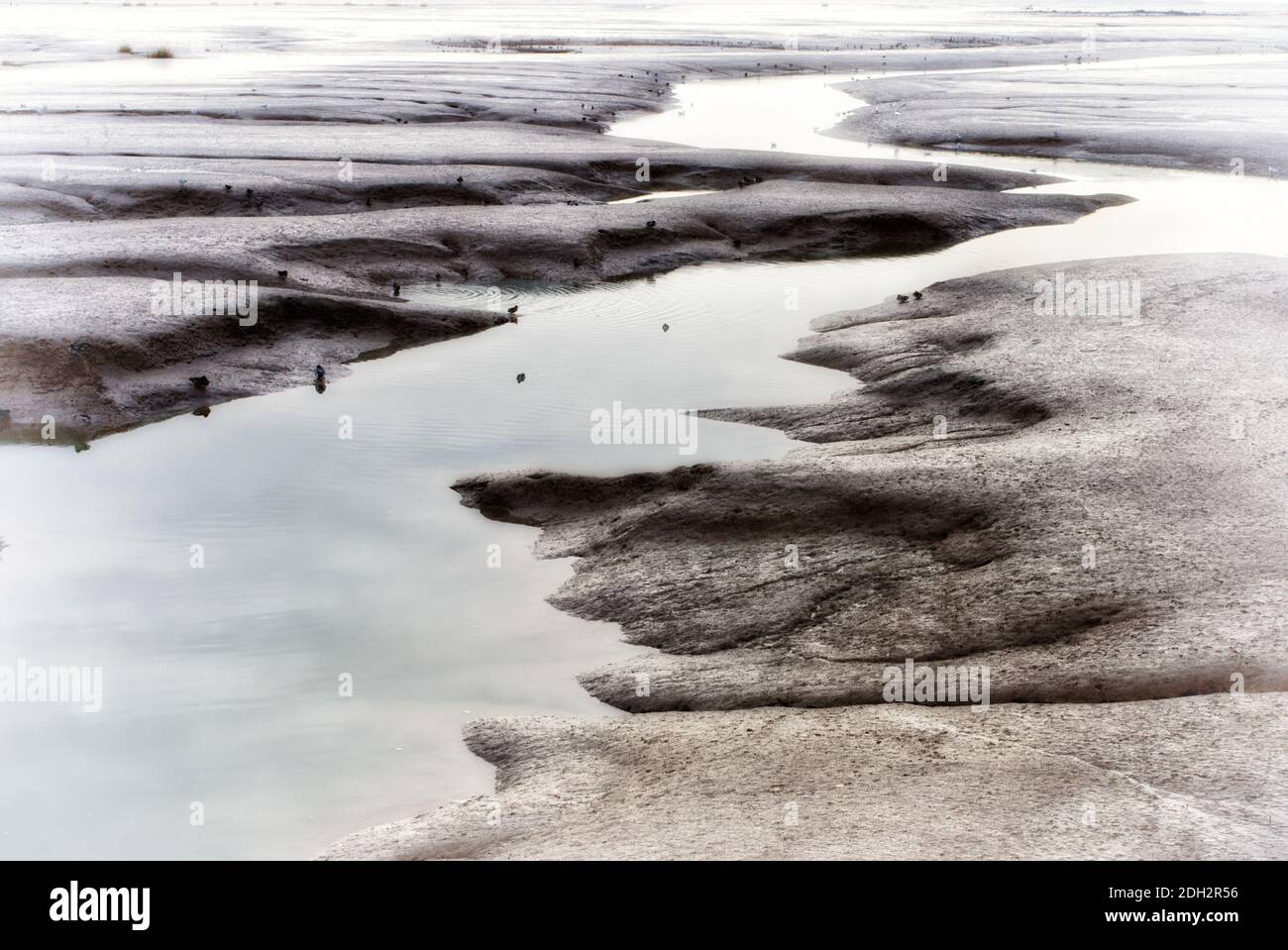 Kent marshes hi-res stock photography and images - Alamy