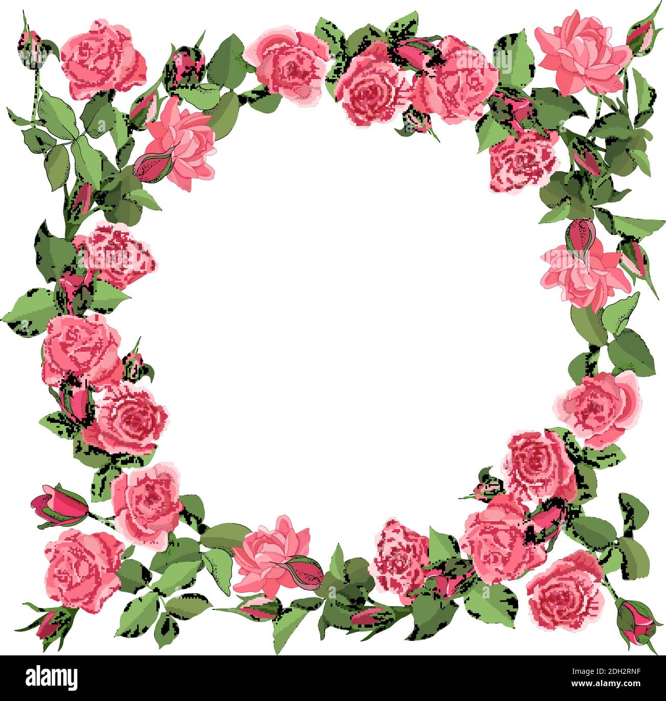 Template with roses and leaves isolated on white background Stock ...