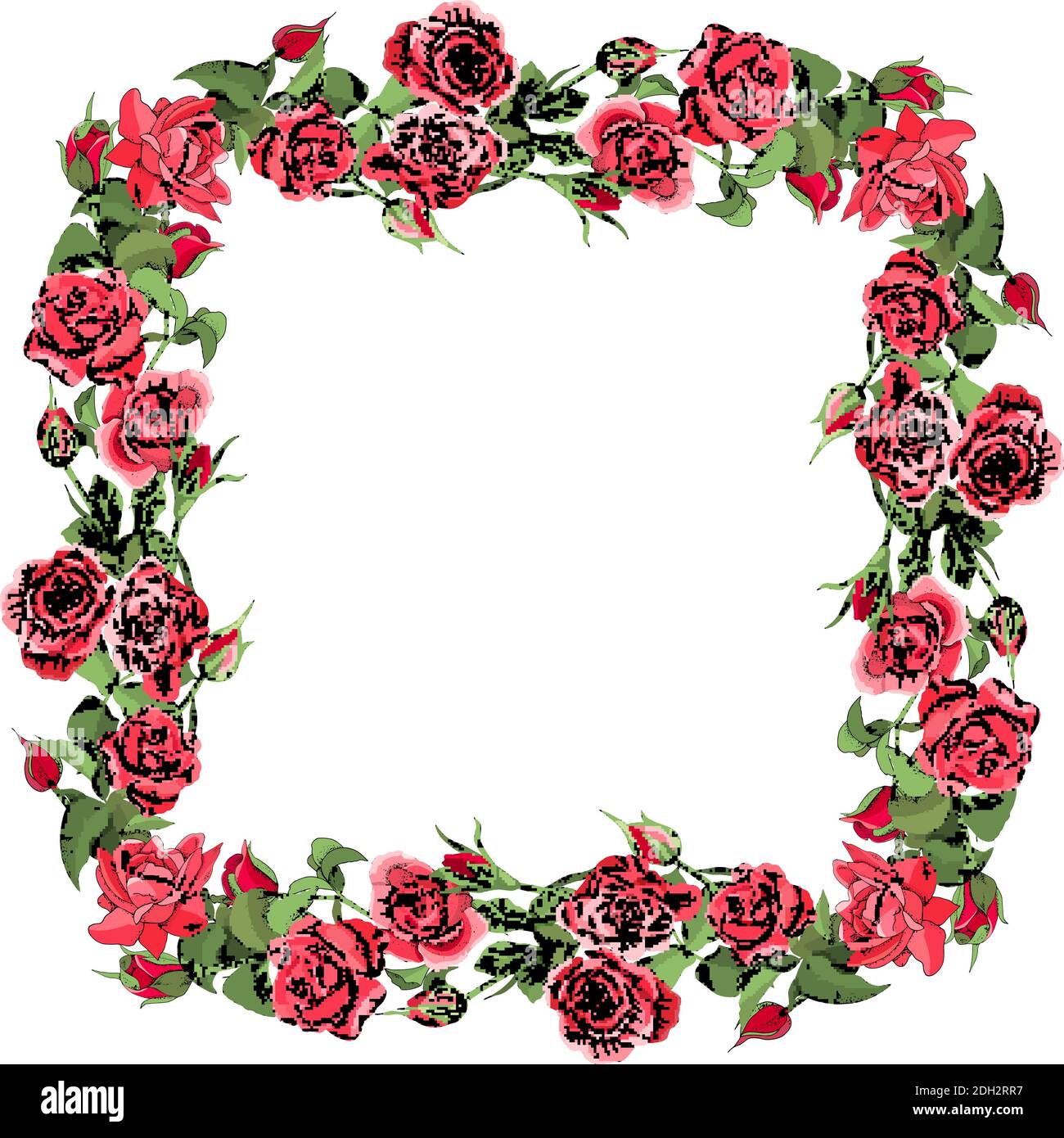 Template with roses and leaves isolated on white background Stock ...