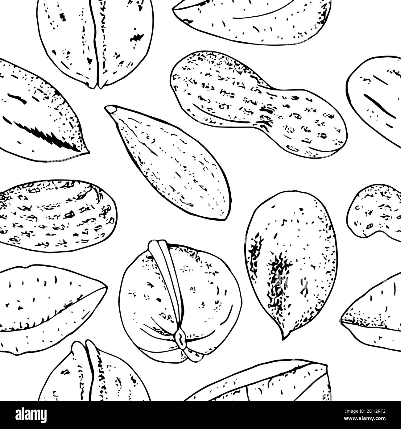 Seamless vector nuts pattern. Outline hand drawn illustration. Black ...