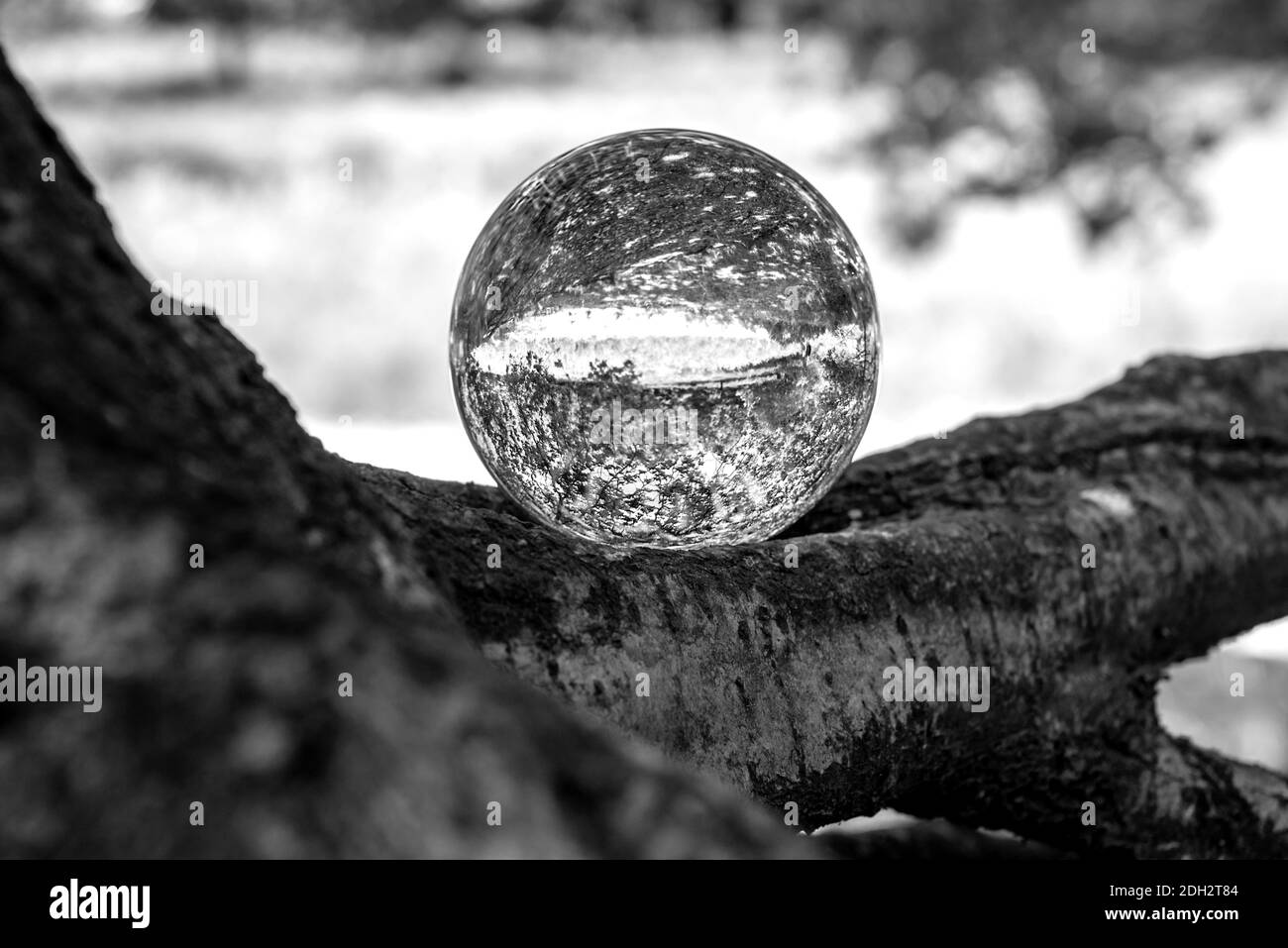 Glass refraction effect Black and White Stock Photos & Images - Alamy