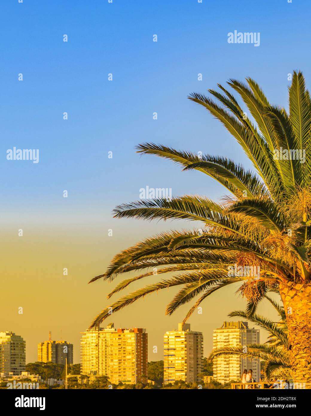 Punta del este cityscape hi-res stock photography and images - Alamy