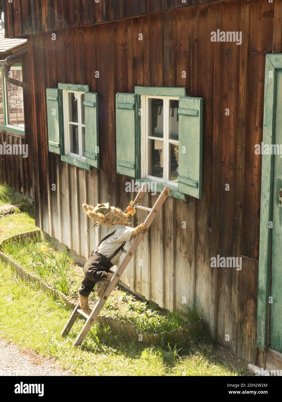 Funny ladder hi-res stock photography and images - Alamy