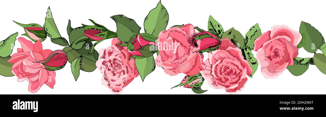 Hand drawn seamless border of pink roses, leaves, bud and an open ...